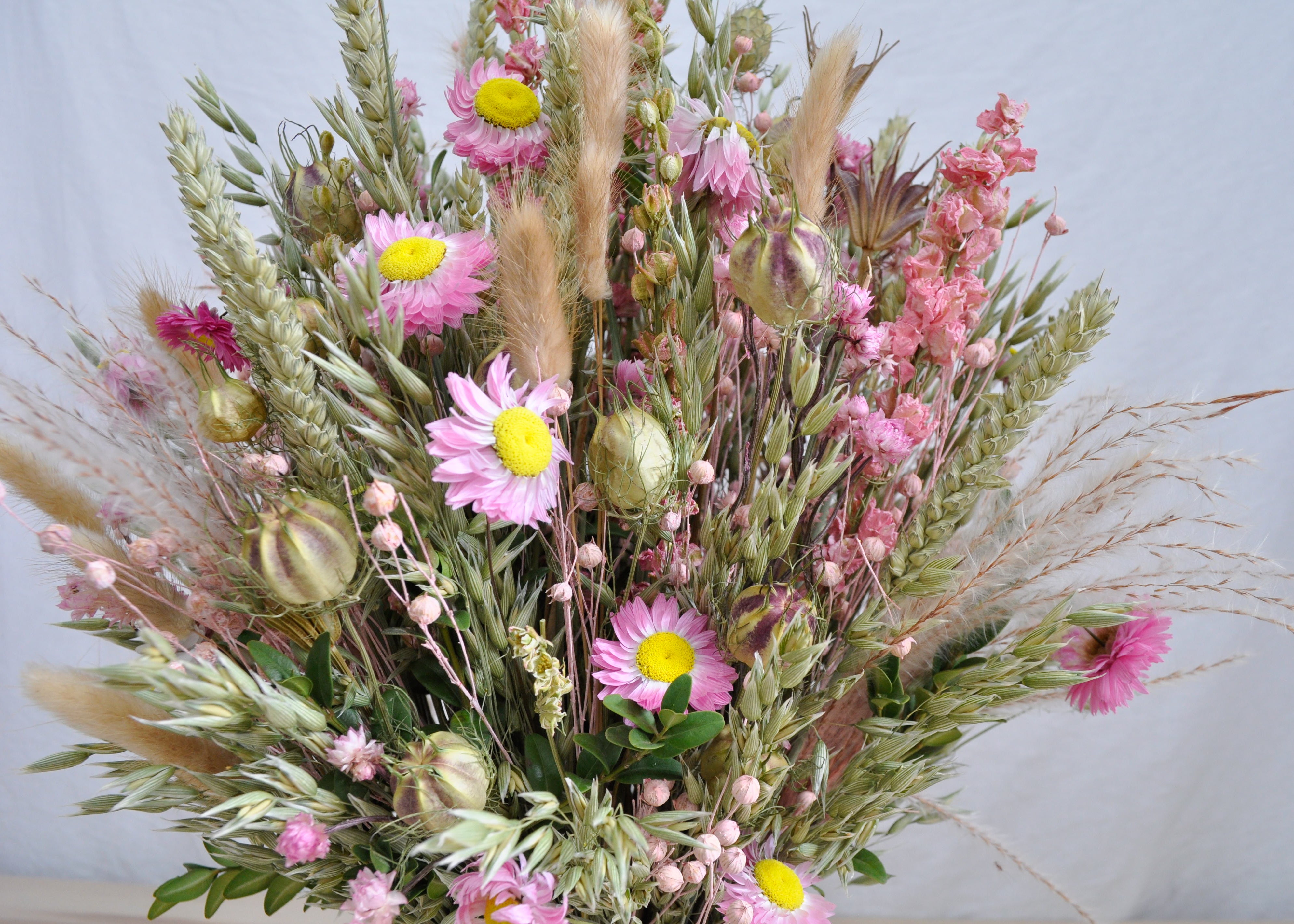FLOR SECA – Barbárea Flores